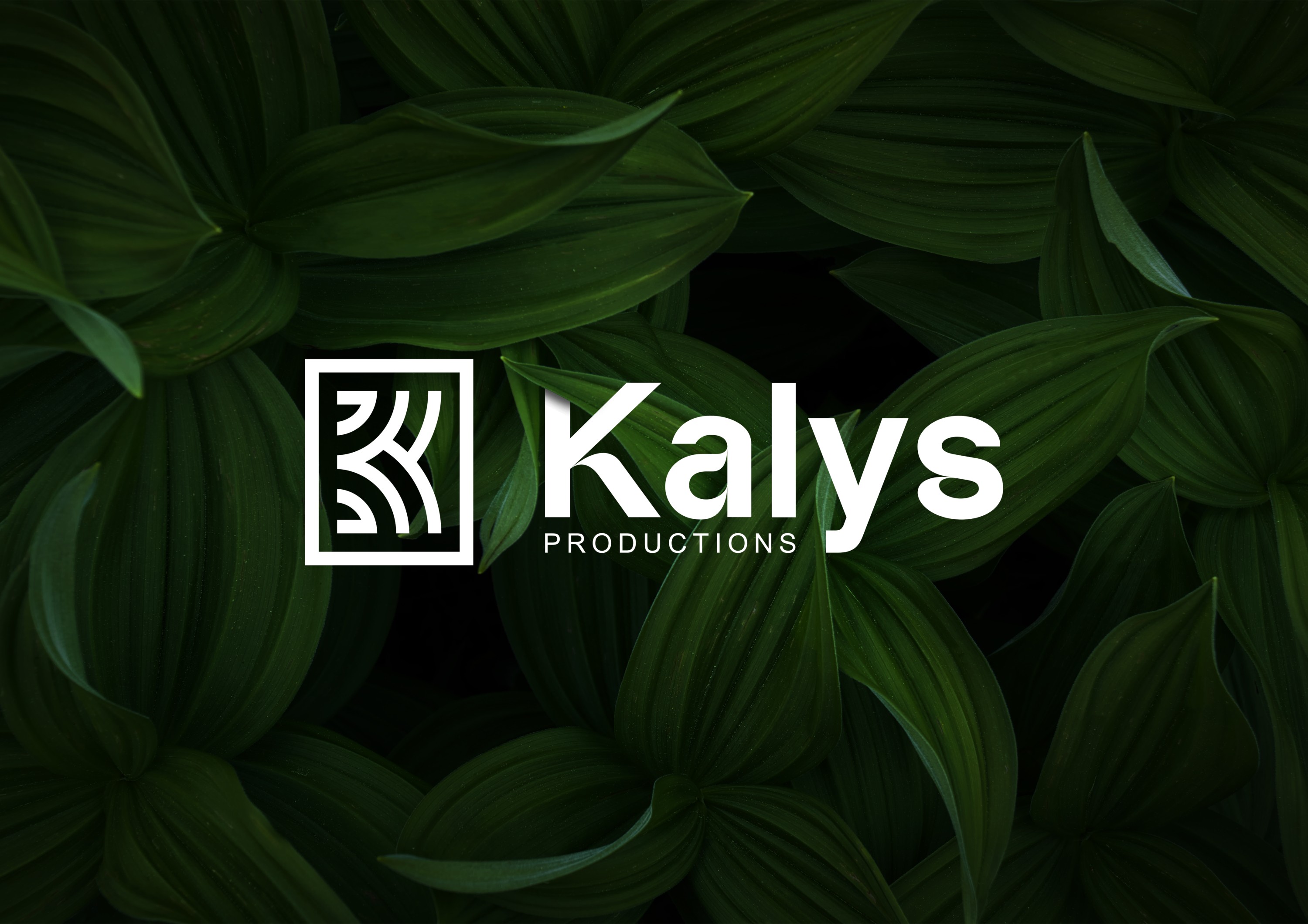 Kalys Productions - Identité visuelle et site vitrine